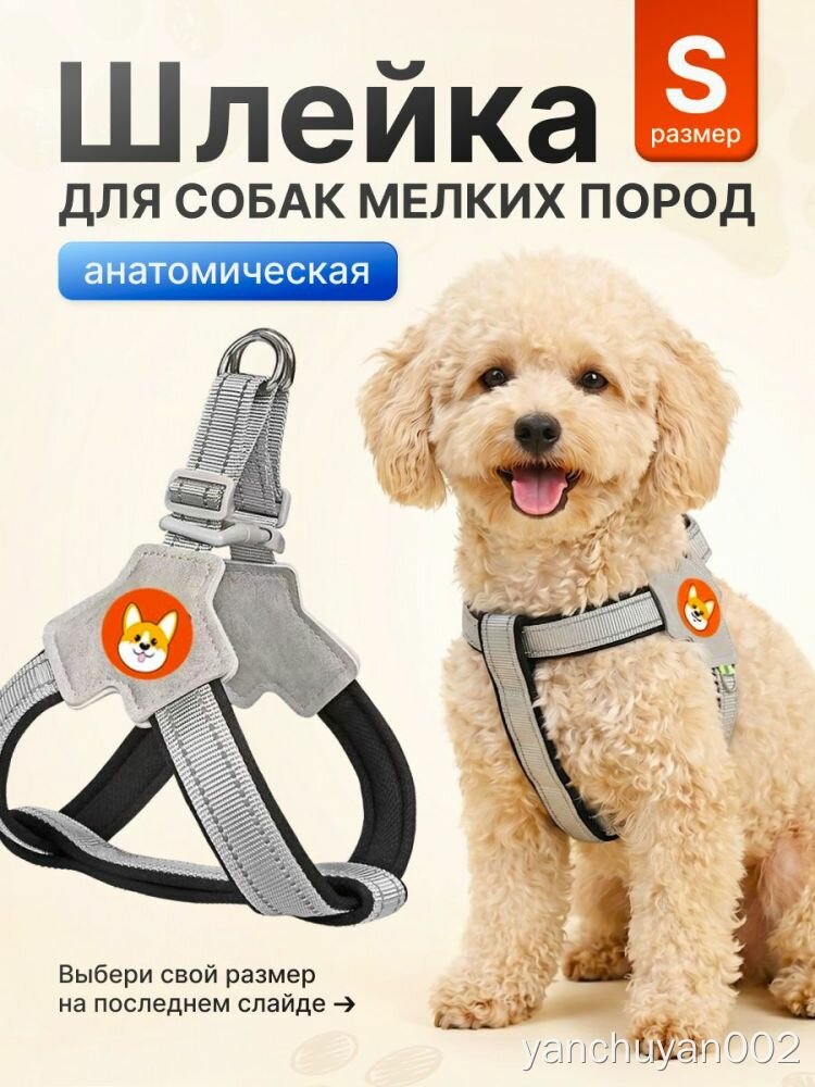 Шлейка анатомическая для собак чёрная 4-7кг/ ошейник со светоотражающим элементом, для мелких и средних пород