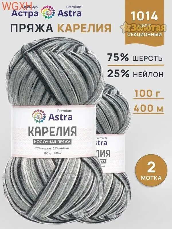 Пряжа для вязания Карелия носочная, 100 г 400 м, 2 шт, Астра Премиум (Astra Premium), цвет 1014