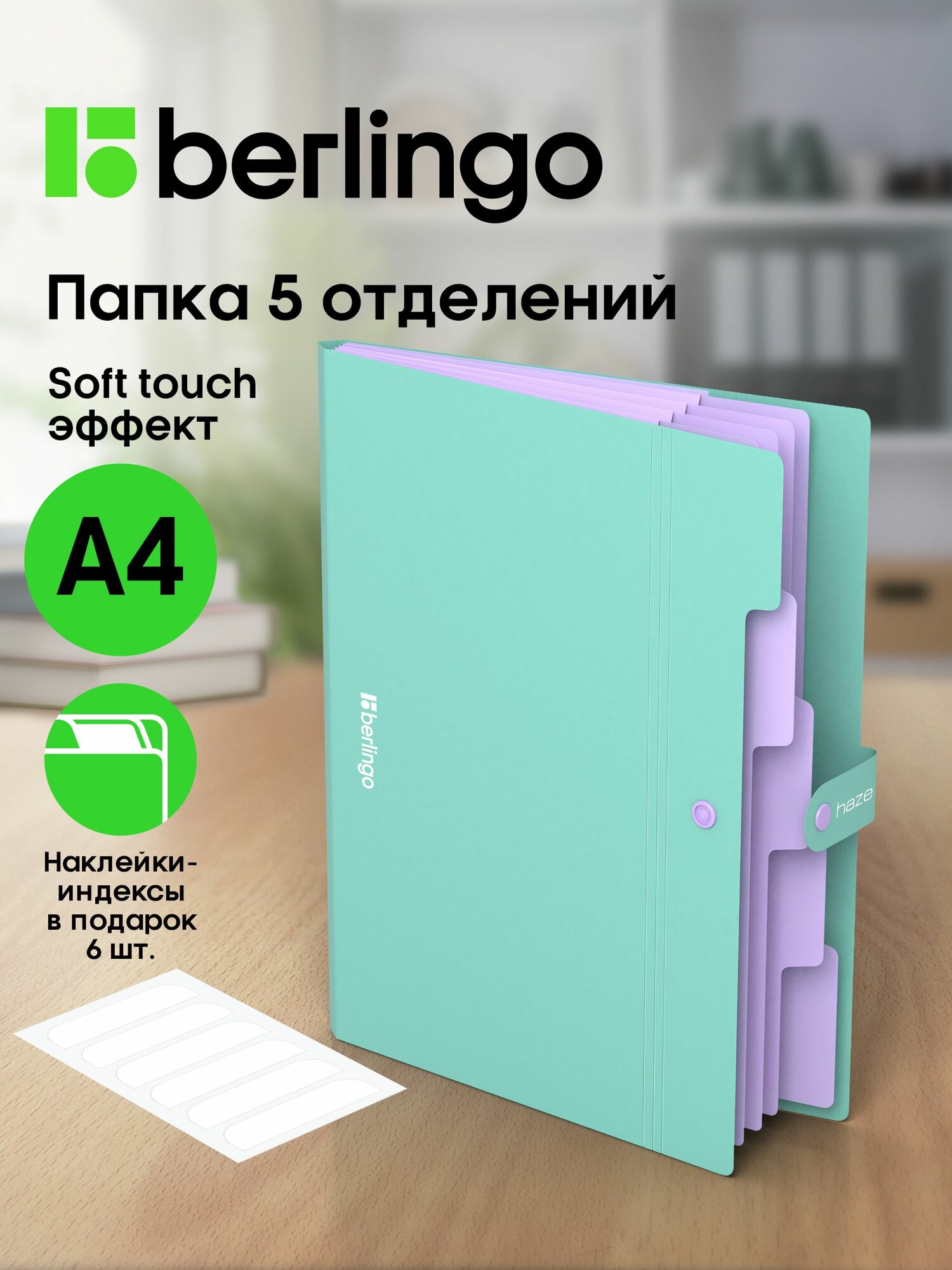 Папка для документов А4, органайзер 5 отделений, семейная, на кнопке для бумаг А4 семейная папка органайзер на кнопке