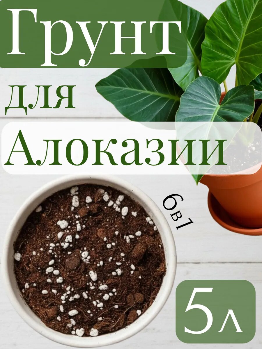 Готовый грунт для Алоказии 5 литров