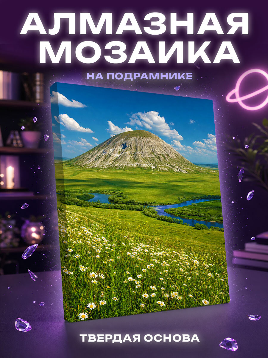 Алмазная мозаика Шихан Торатау среди ромашек