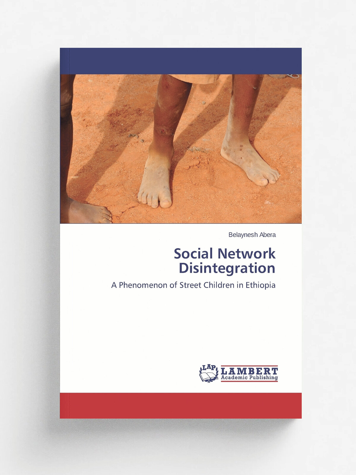 Social Network Disintegration