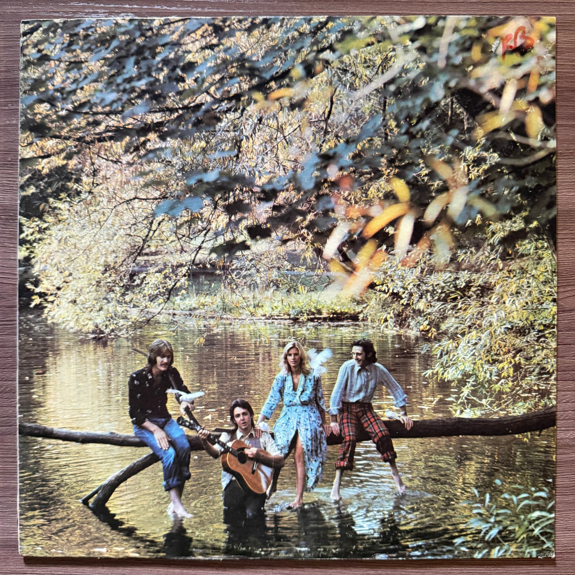Виниловая пластинка Wings Wild Life (США 1971г.)