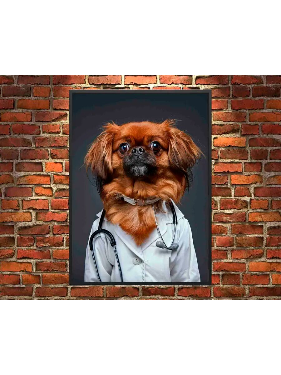 Брюссельский гриффон-собака-доктор 1, Плакат 30x42см
