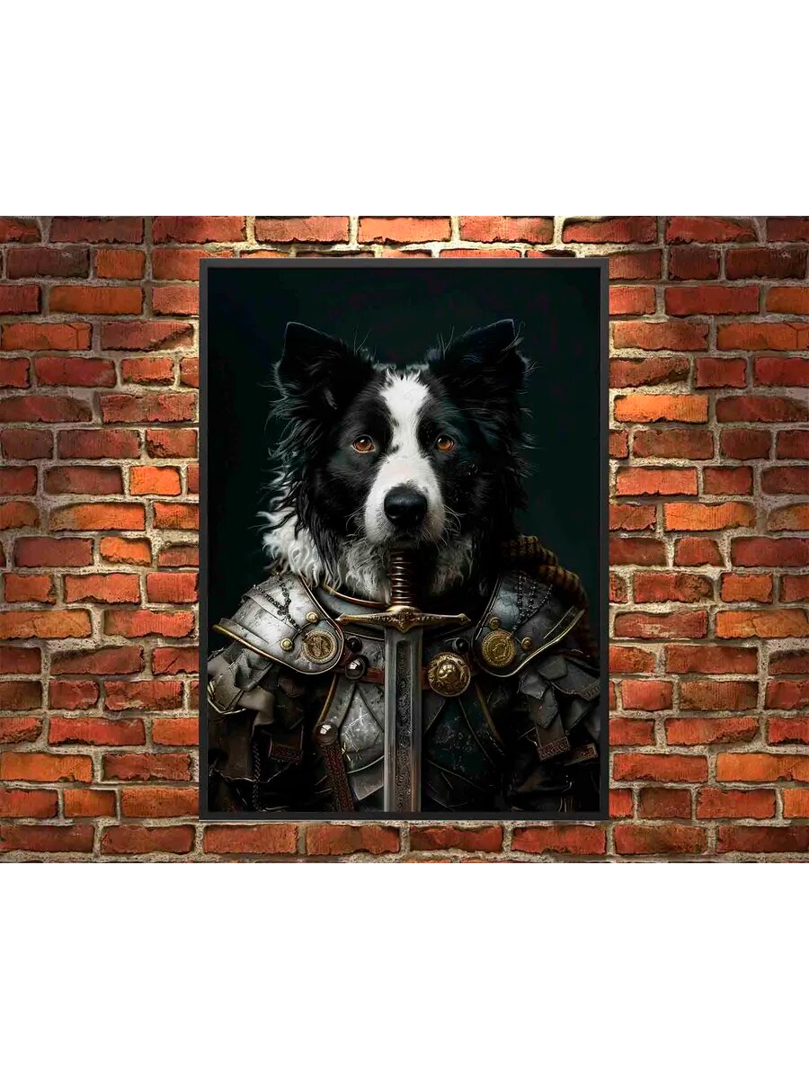 Бордер-колли Гладиатор 2, Плакат 30x42см