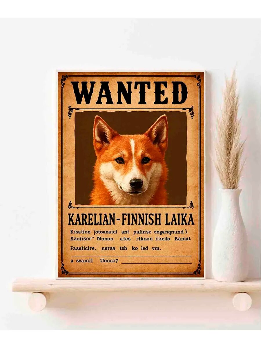 Карело-финская лайка, Wanted, Плакат 30x42см