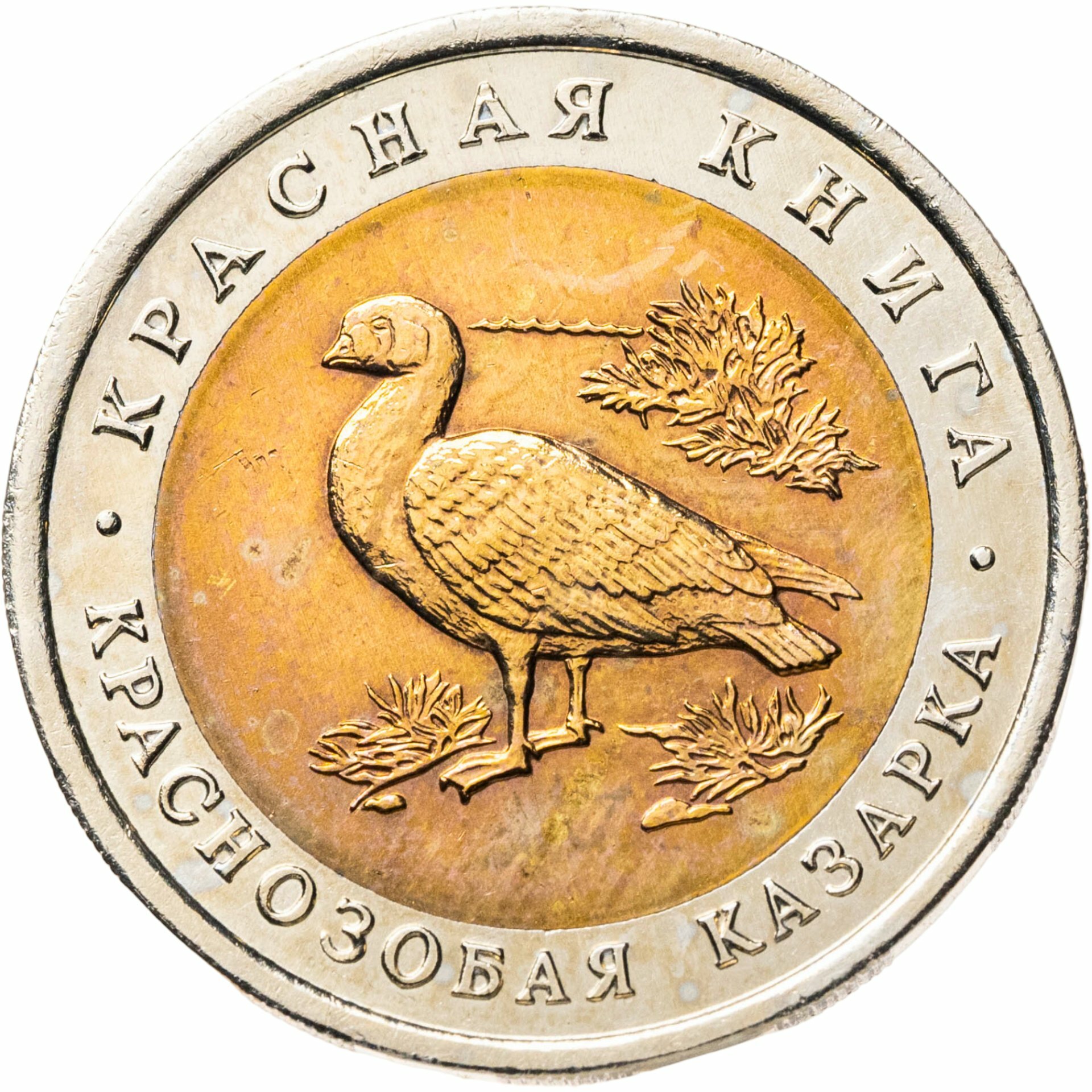 10 рублей 1992 ЛМД Краснозобая казарка, Биметалл, в сохранности AU