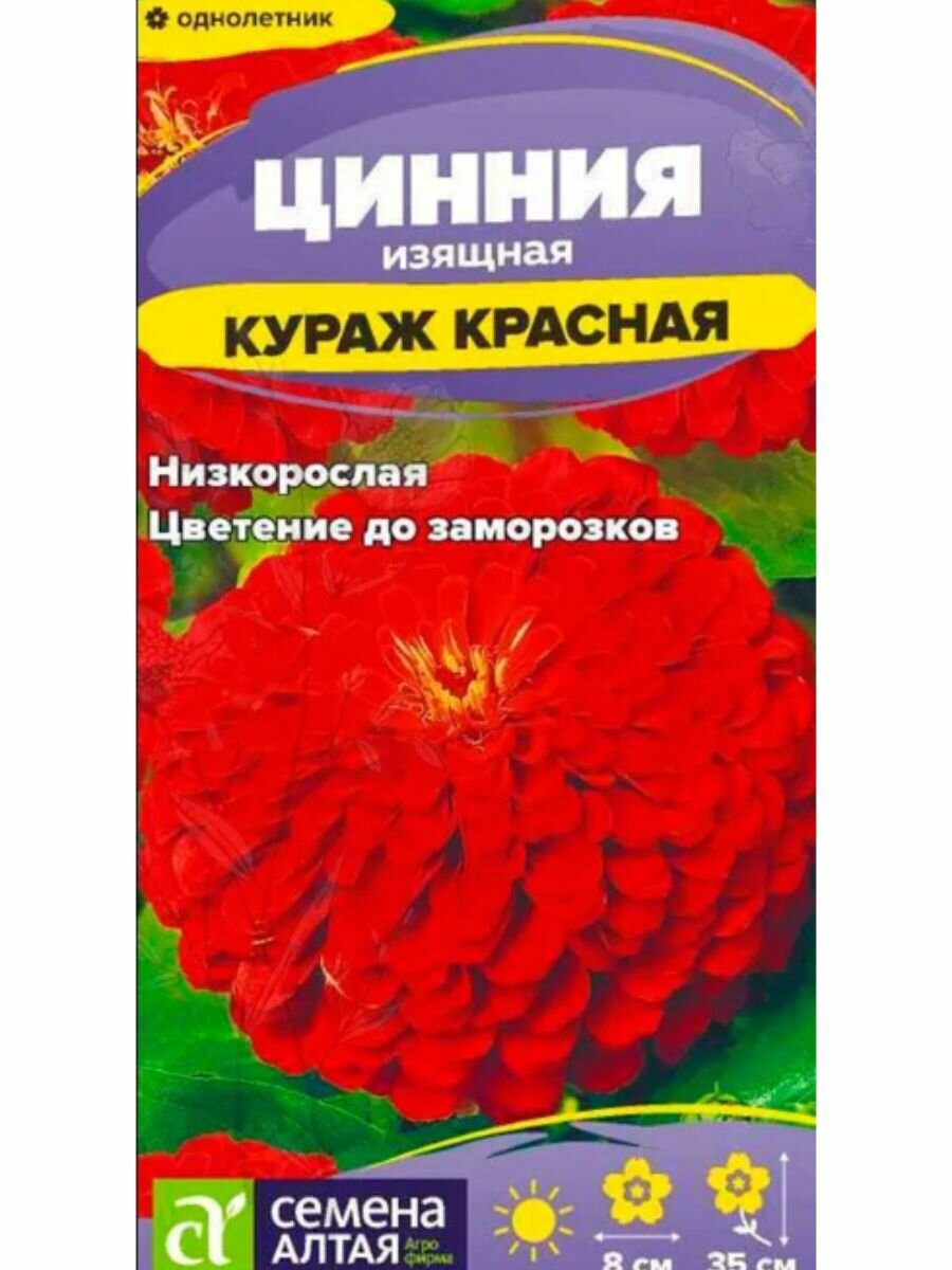 Цинния семена Кураж Красная карликовая 0,2 г, высота до 35 см, суперобильное и длительное цветение, длитиельное время декоративны в срезке