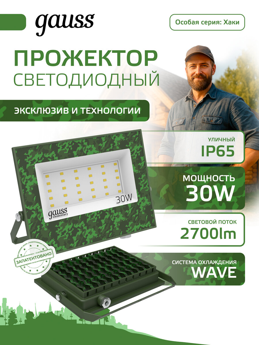 Gauss Прожектор светодиодный уличный 30W IP65 6500K камуфляж GFD003