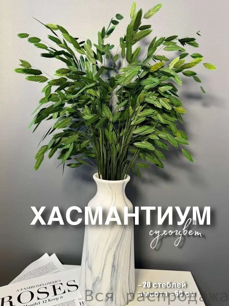 Сухоцветы Овёс Мискантус 20 шт. Темно-зеленый. Высота 70 см. Для декора дома