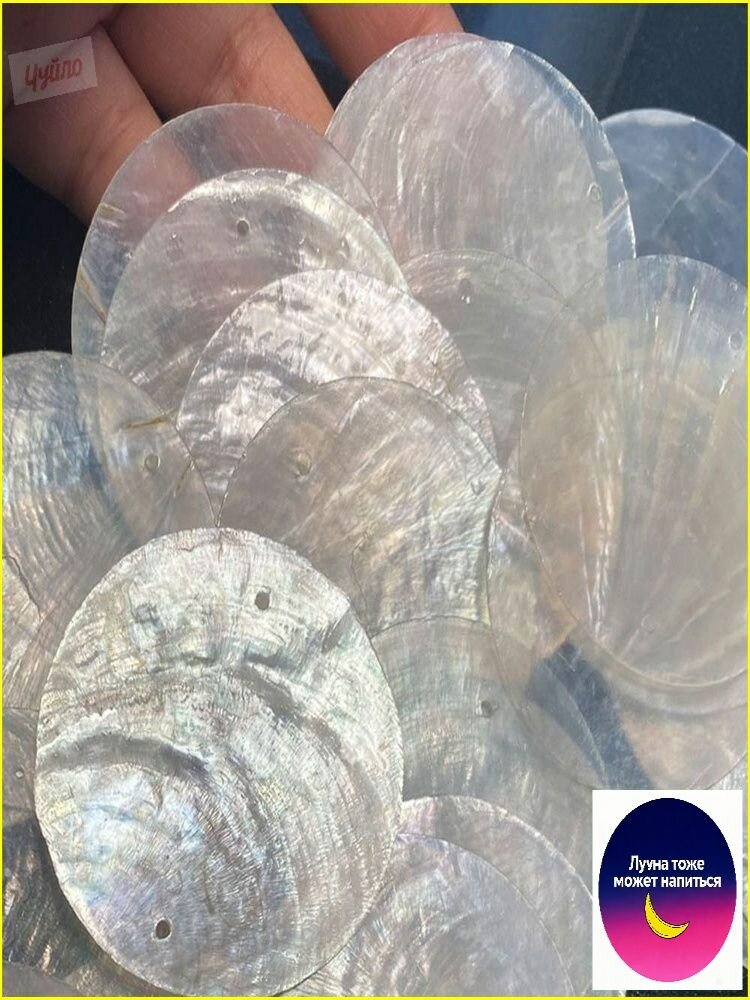 50 шт. круглые натуральные ракушки, морские раковины капиз, 2-дюймовые ракушки устриц