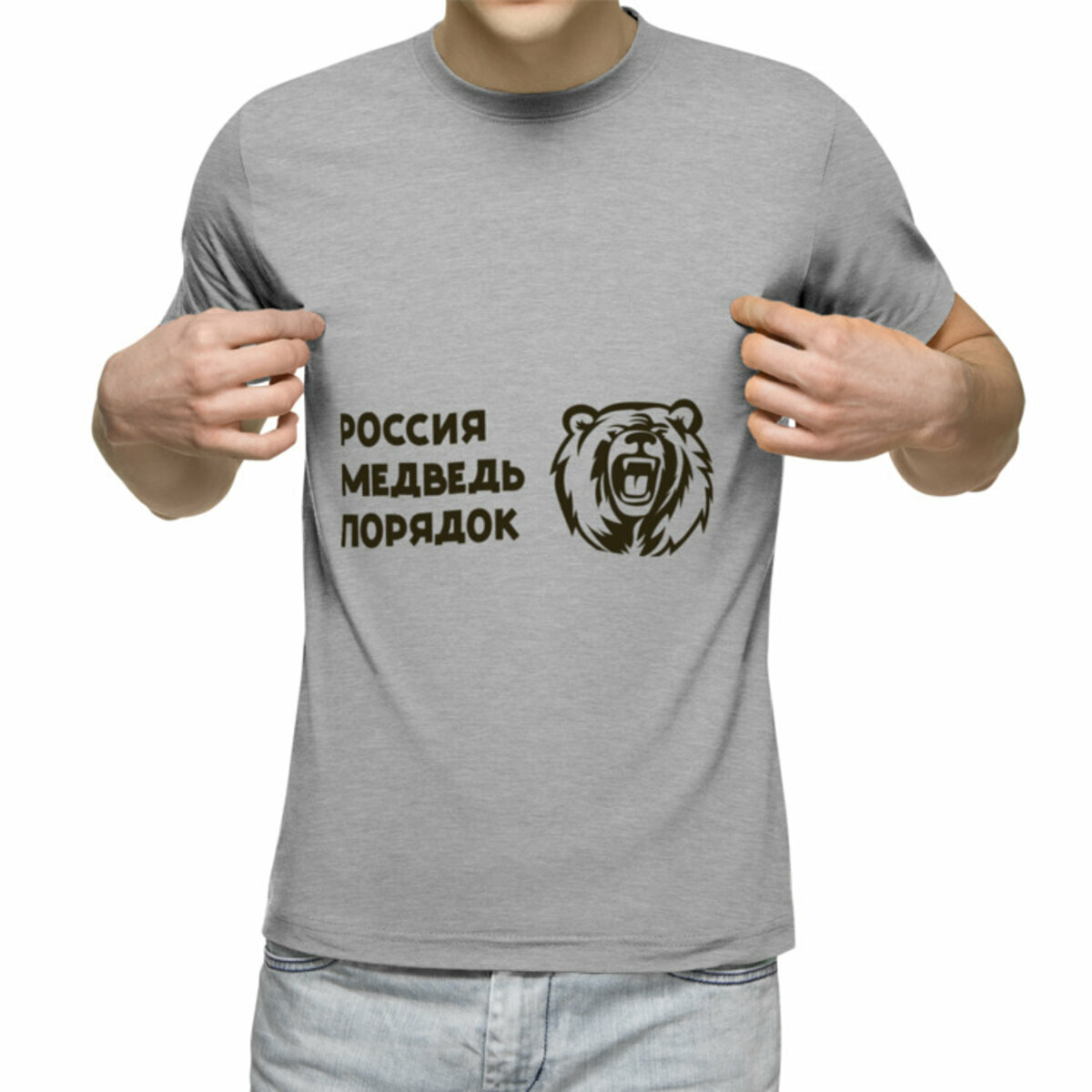 Мужская футболка «Россия: медведь символ порядка» (серый меланж, M)
