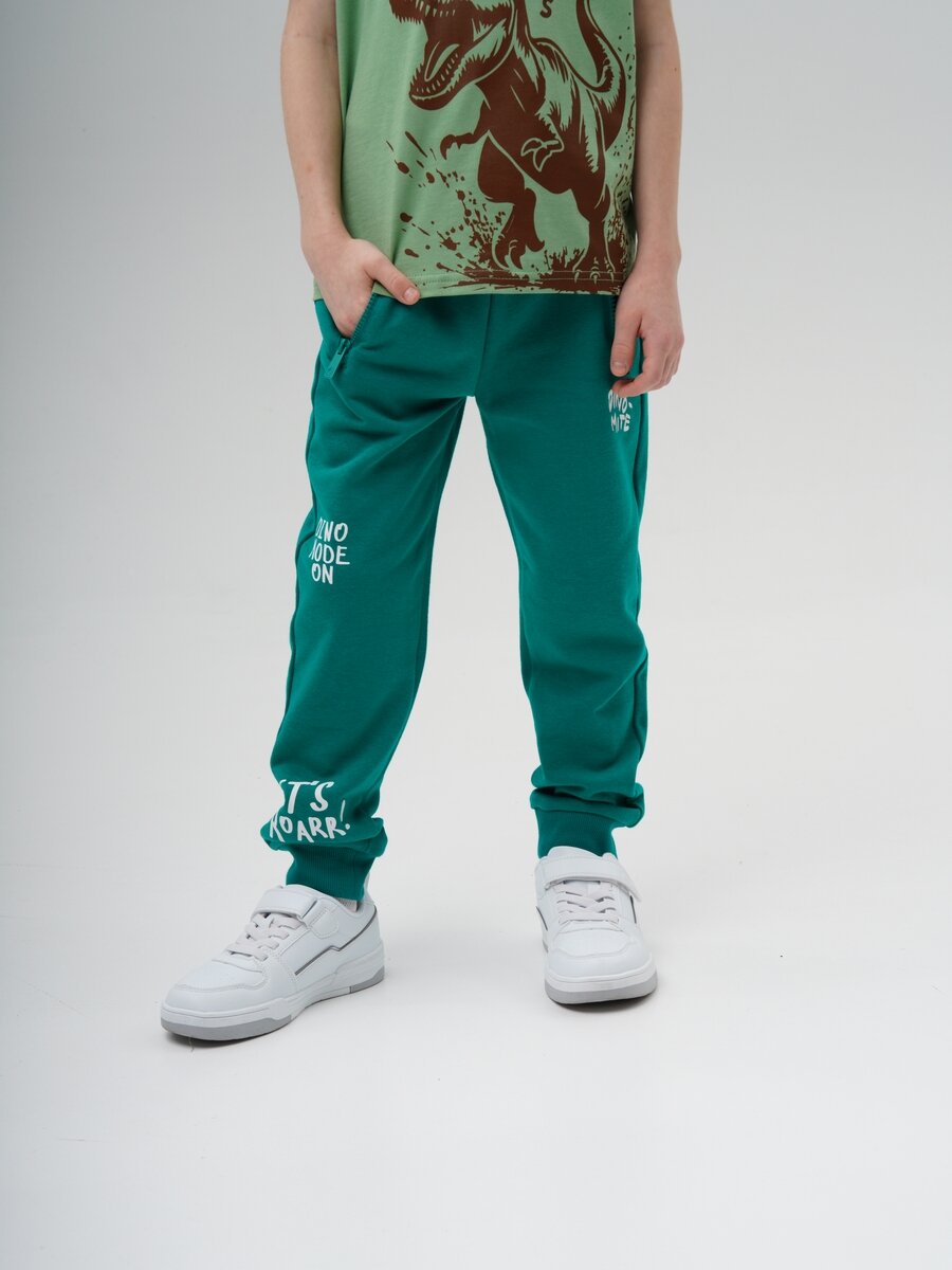 Брюки спортивные Весна-лето 2026