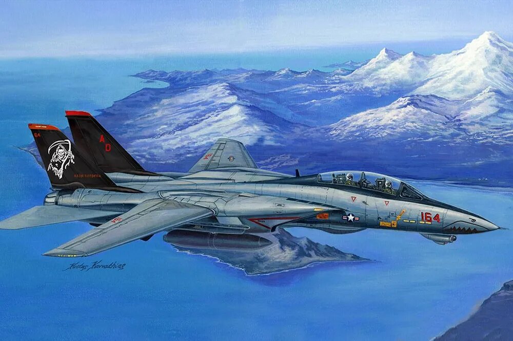 1:48 Американский истребитель F-14D Super Tomcat модель военной техники