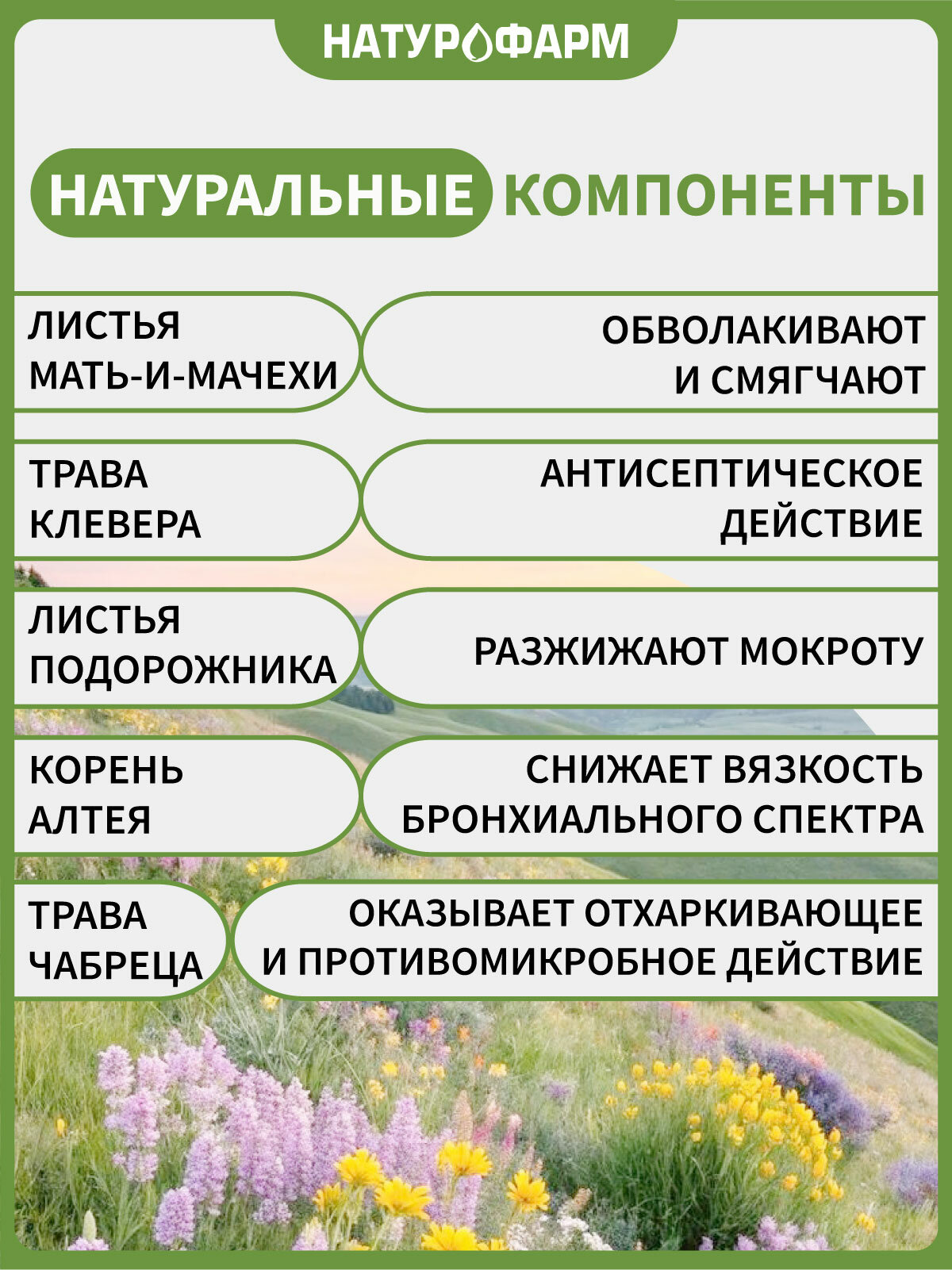 Бронхофарм, от кашля, экстракт чабреца, мать-и-мачеха, подорожник, корень алтея, клевер, 30 капсул по 300 мг, БАД — фото 1