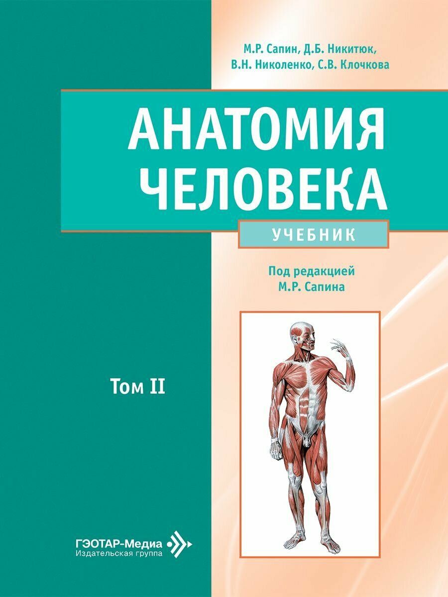 Анатомия человека. Учебник в 2 томах. Том 2