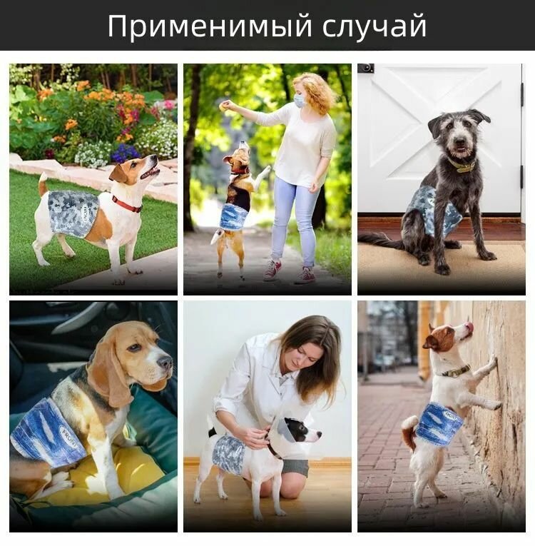 Подгузники для животных XS — фото 1