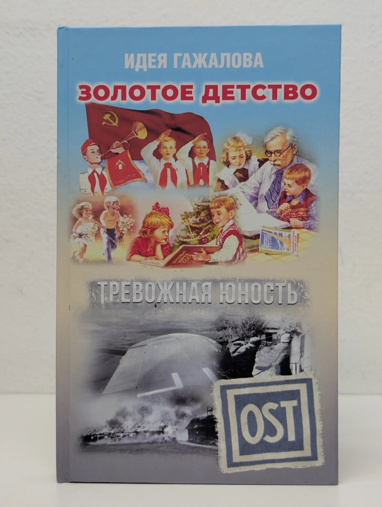 Золотое детство. Тревожная юность Гажалова Идея Николаевна 2024