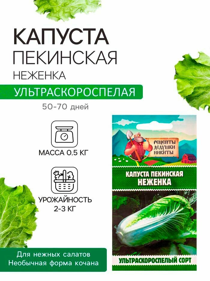 Семена Капуста пекинская Неженка , 0.1 г, ультраскороспелая