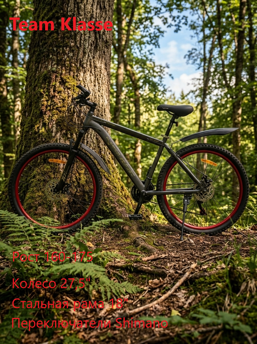 Велосипед TEAM KLASSE, горный, стальной, 21 скорость, задний дисковый тормоз