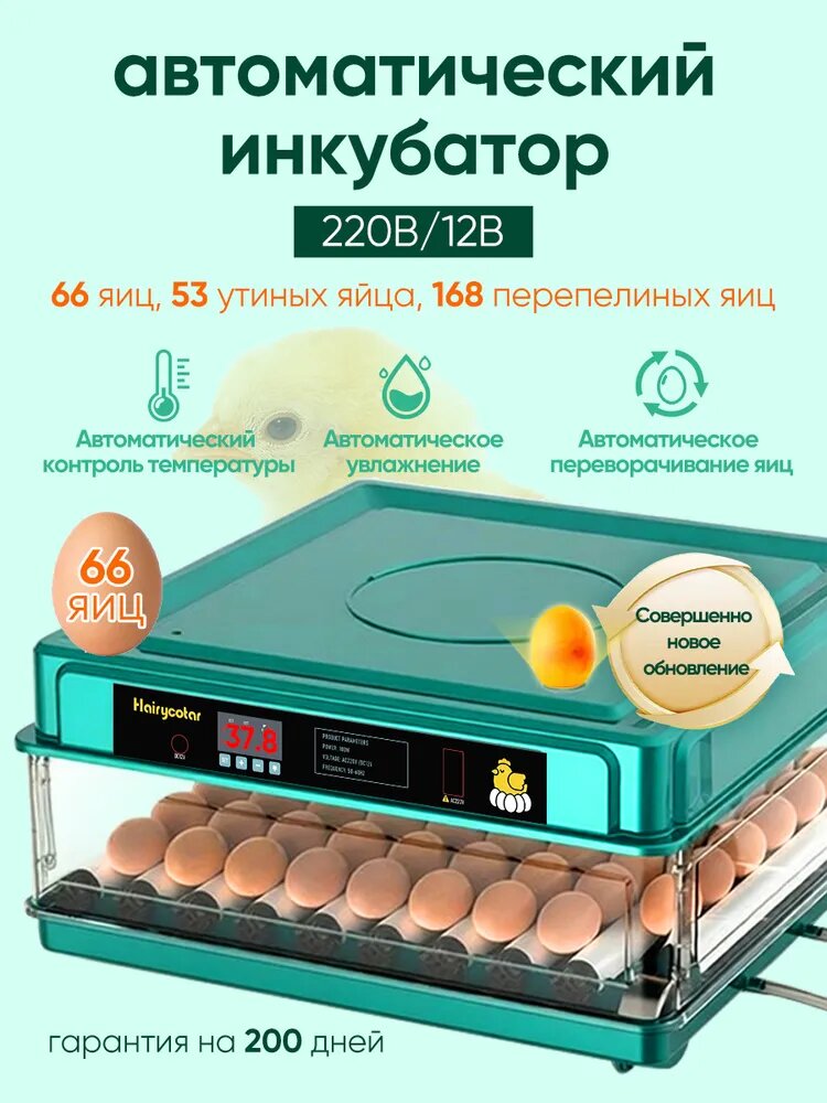 Инкубатор на 53 утиное яйцо, термостат, зеркало для яиц, автоматическая замена 168перепелиных,66 яиц 55 гусиных яиц 220/12 В