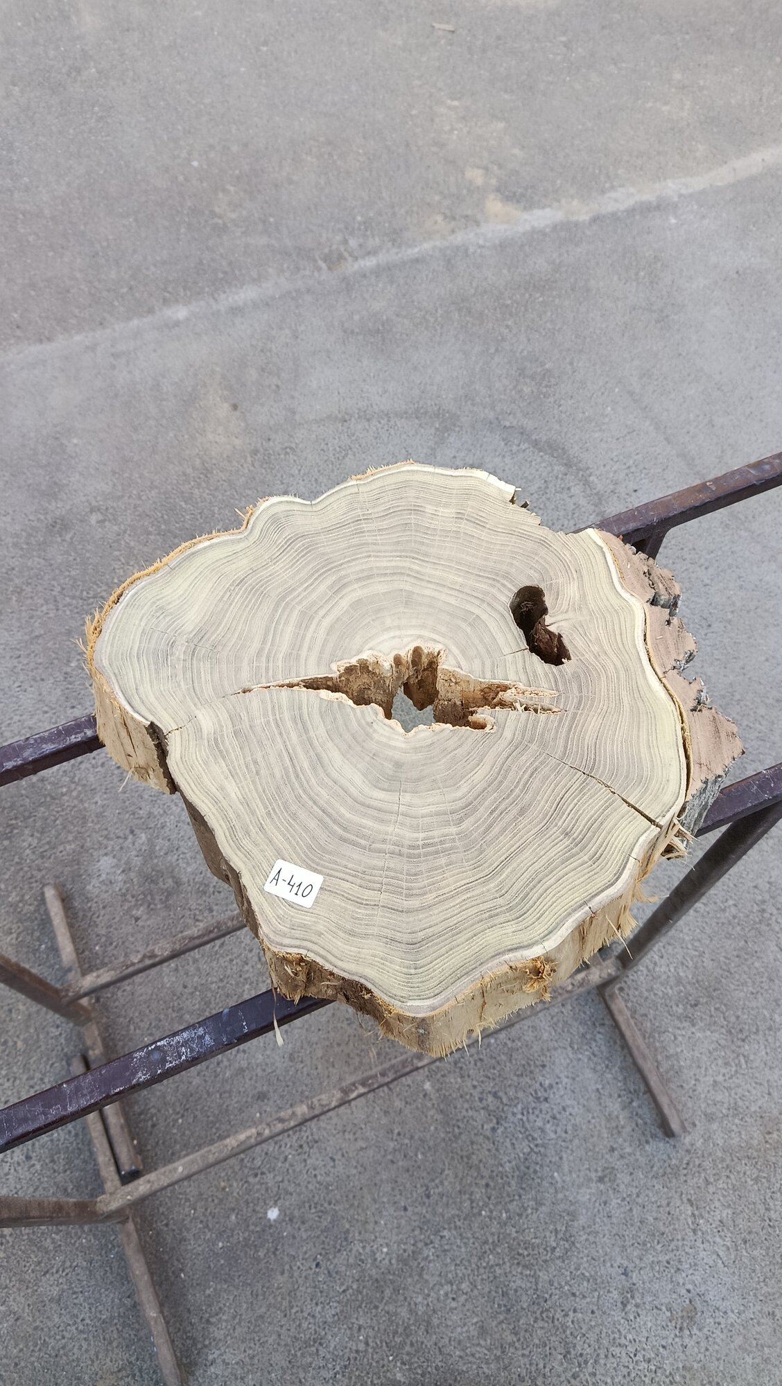 Спил из акации 39х40х7,5 см(А410) высушенный и фрезерованный