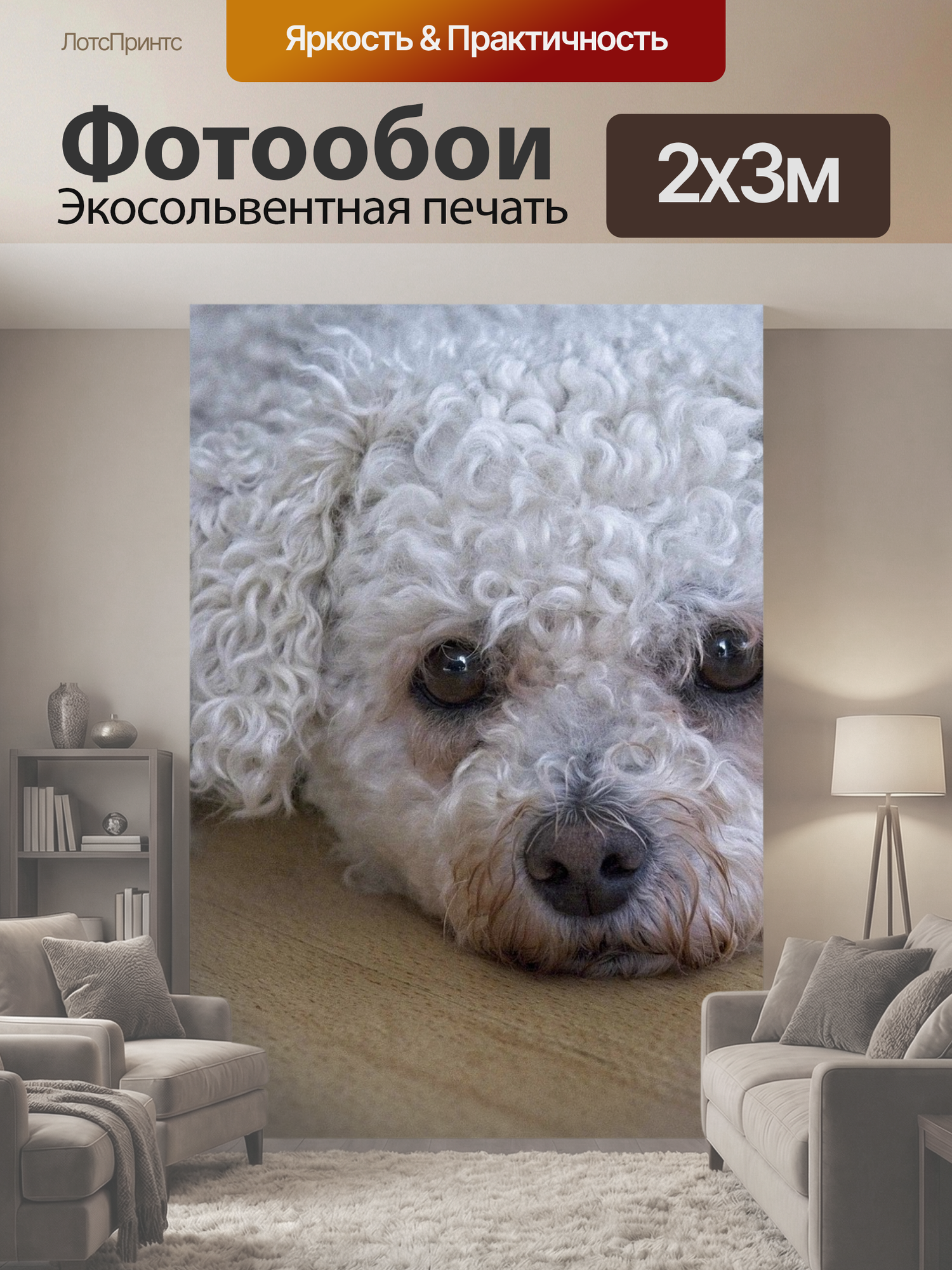 Фотообои "Собака, бишон фризе, бишон" 200x300 см. экосольвентная печать