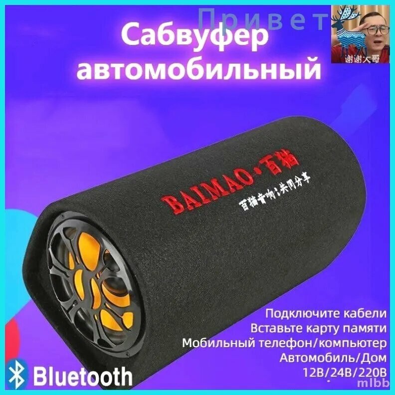 Сабвуфер автомобильный, 13 см (5 дюйм.)