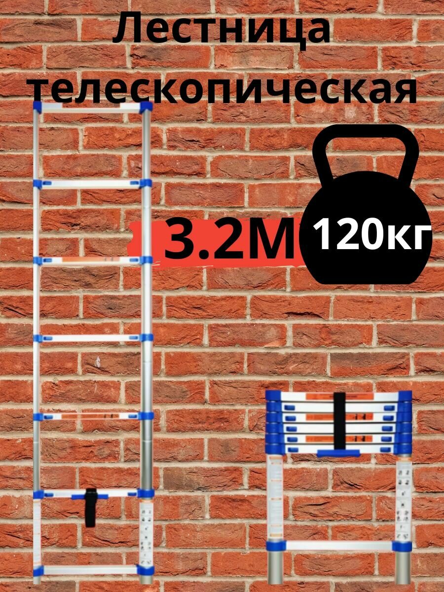 Лестница телескопическая синий/хром 11ст. 3,2м "MITTSU" М6822