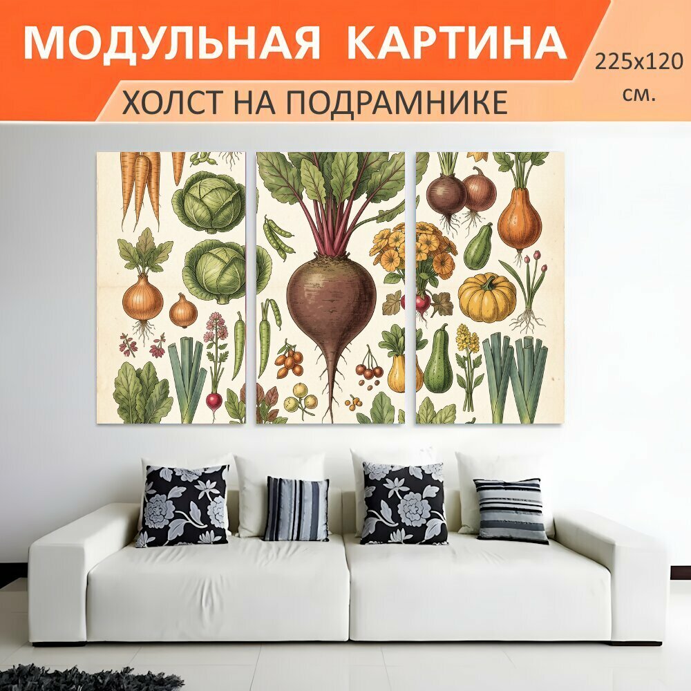 Модульная картина на холсте "Овощной натюрморт в винтажном стиле. Иллюстрация с разнообразными огородными культурами: свекла." триптих на подрамнике 225х120 см. для интерьера