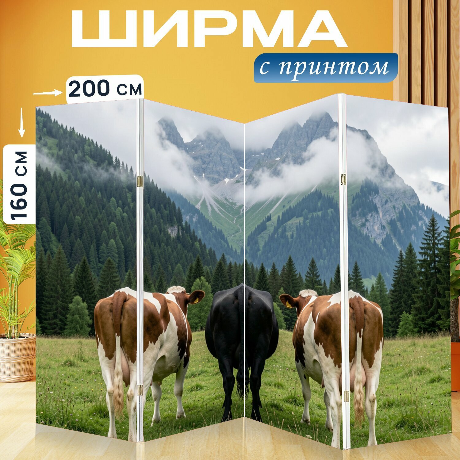 Ширма "Коровы на альпийском лугу. Три пастбищные коровы стоят на зеленой горной поляне на фоне хвойного леса и." перегородка для зонирования комнаты с принтом 200x160 см. на холсте