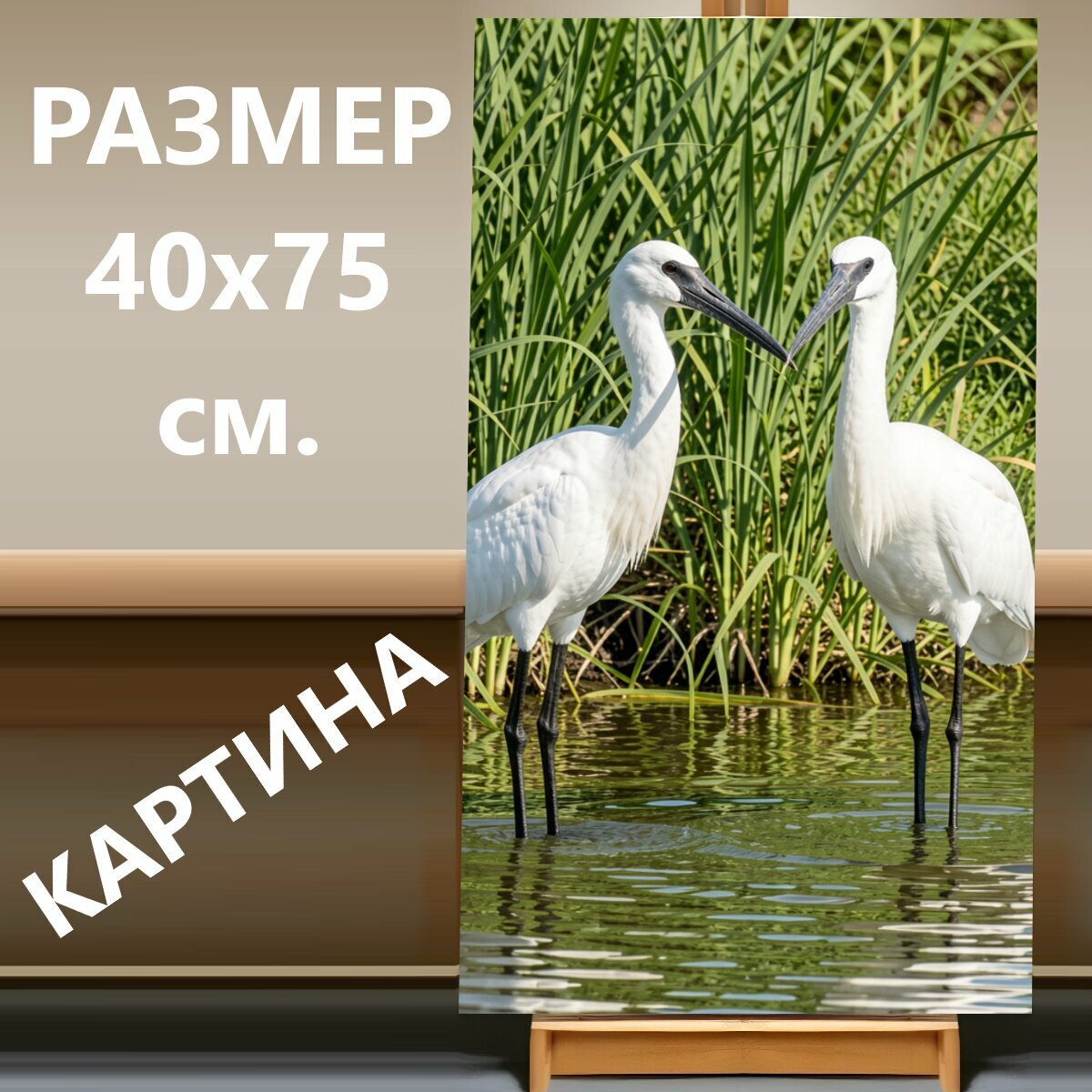 Картина на холсте "Две белые цапли с длинными черными ногами и острыми клювами стоят в мелкой воде на фоне густой зеленой травы и камышей." на подрамнике 75х40 см. для интерьера