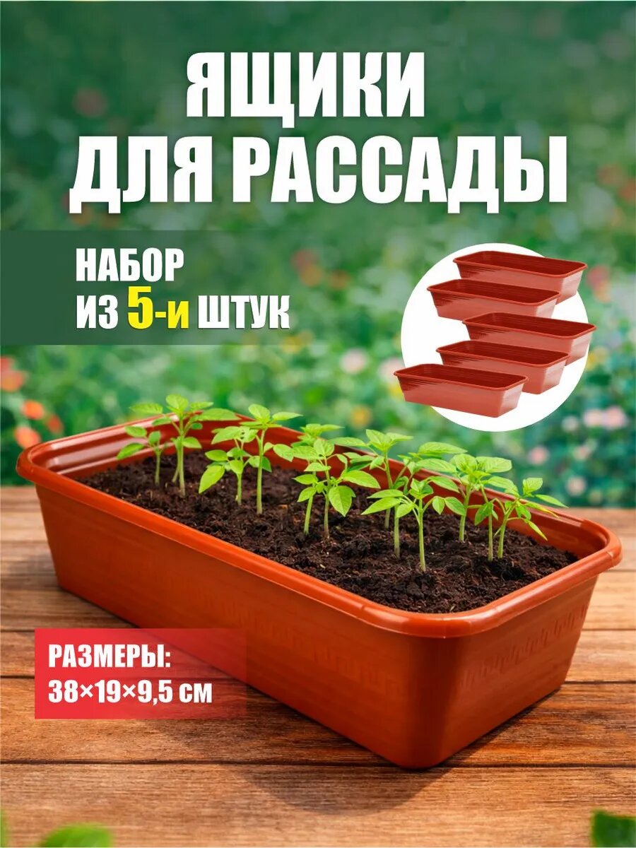 Комплект из 5-ти ящиков для рассады для подоконника пластиковый 380*190*95