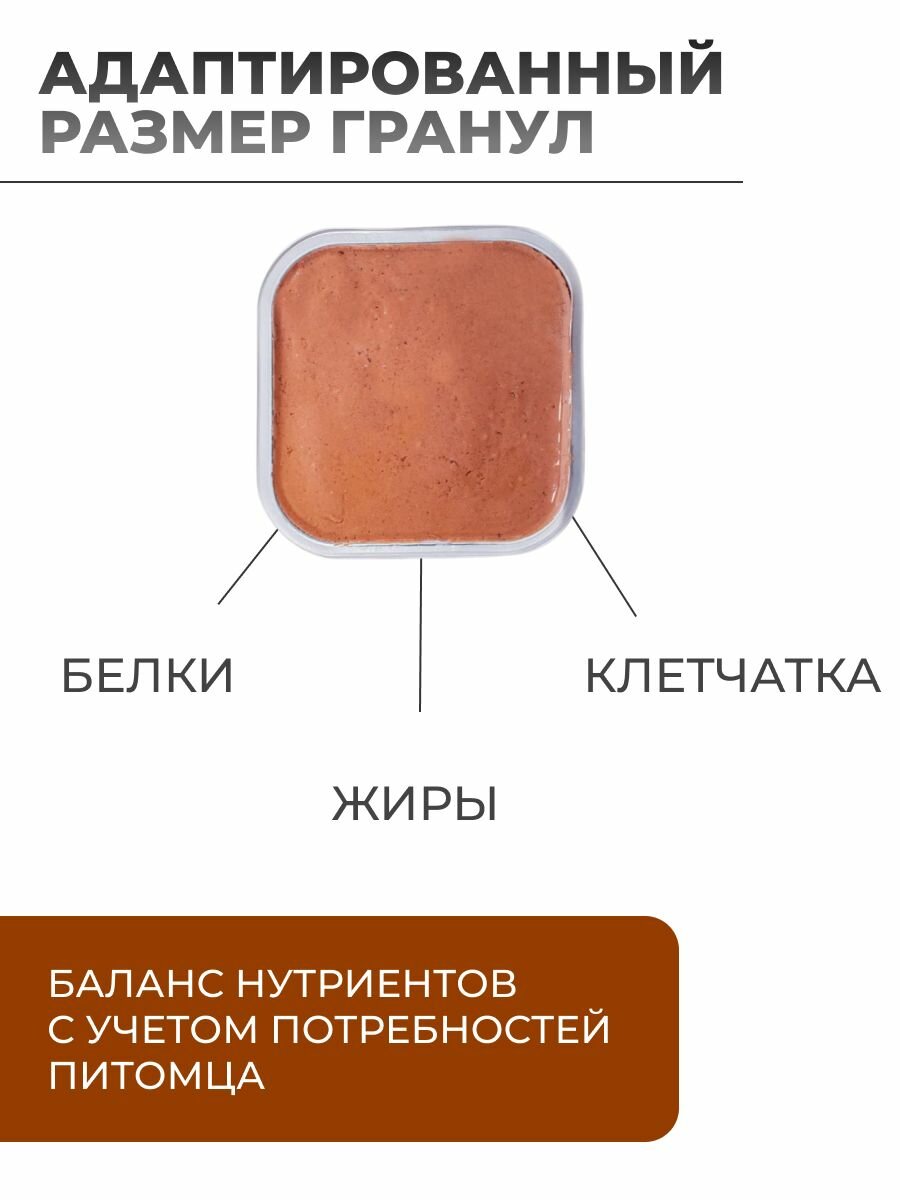 Корм сухой