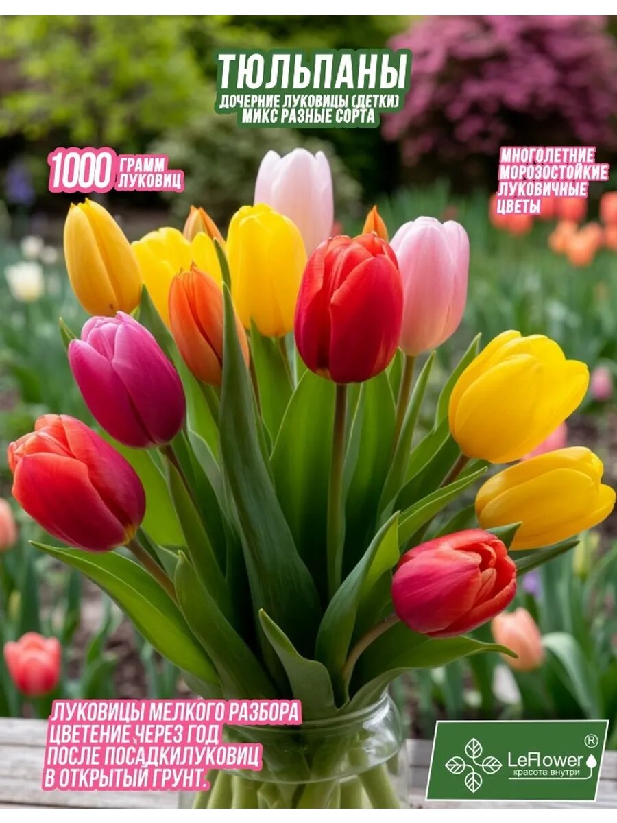 Тюльпан Луковица, дочерние, 1кг