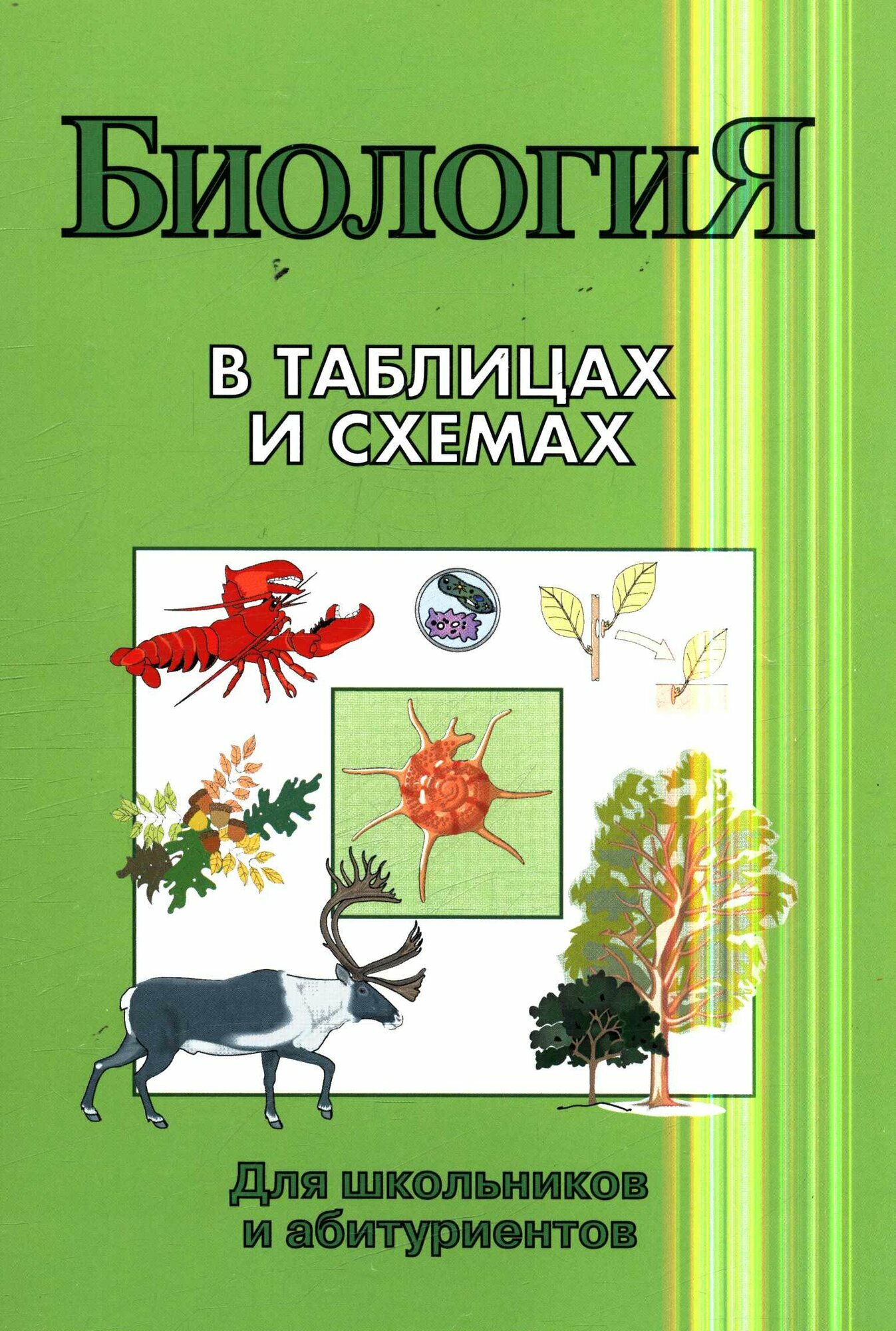ВФормулахИСхемах Биология в таблицах и схемах д/школьников и абитур. (сост. Онищенко А. В.)