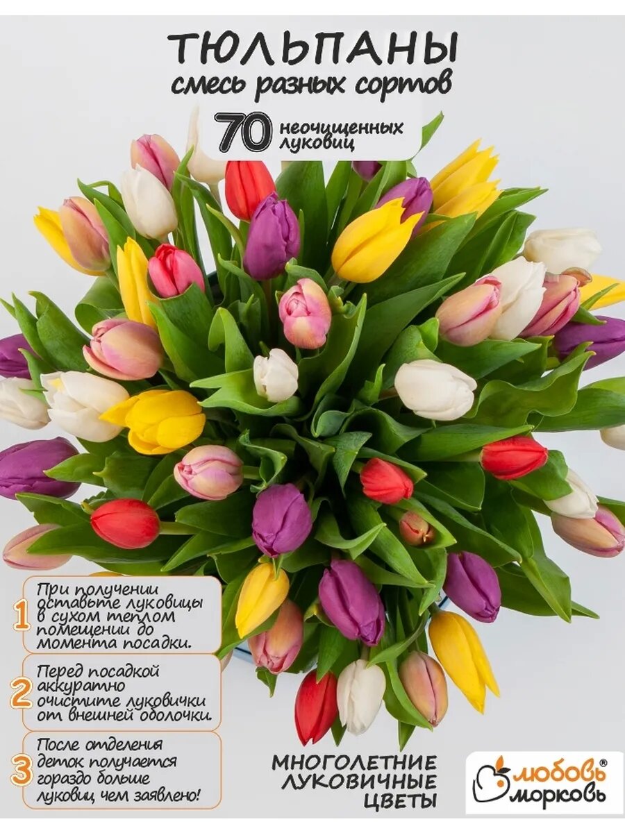 Тюльпан Луковицы, Микс сортов, 70шт