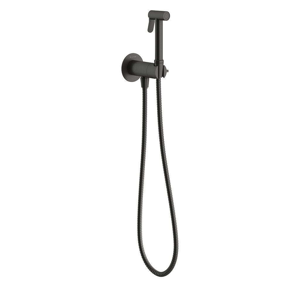 Смеситель скрытого монтажа с гигиеническим душем Aqueduto пуреза/PUREZA , АкваЛок/AquaLock, оружейная сталь PUR0145