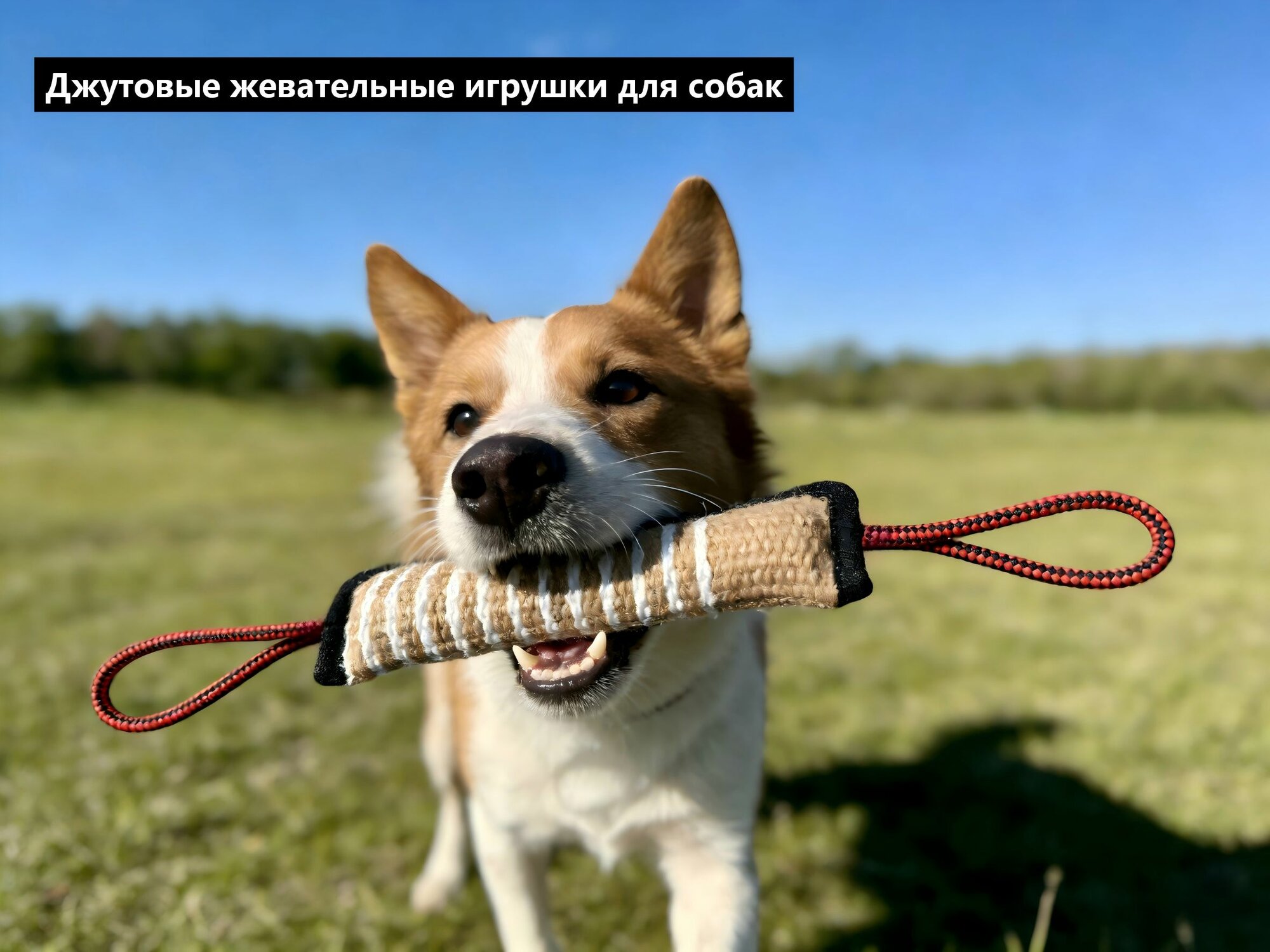 Прочная жевательная веревка для собак из джута и брезента, игрушка для зубов, тренировки и игры, сверхпрочная, нетоксичная