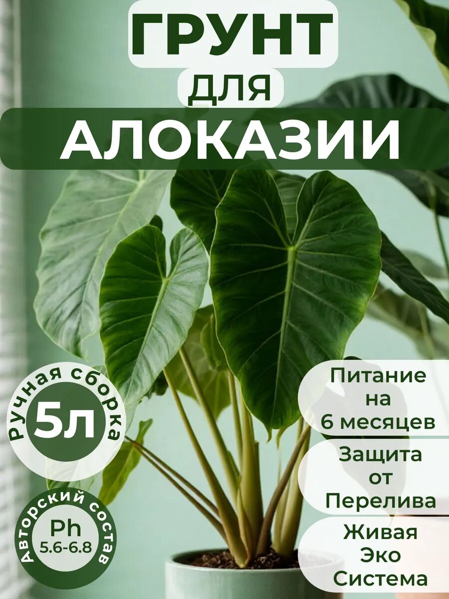 Готовый авторский грунт для Алоказии, премиум 5 литров