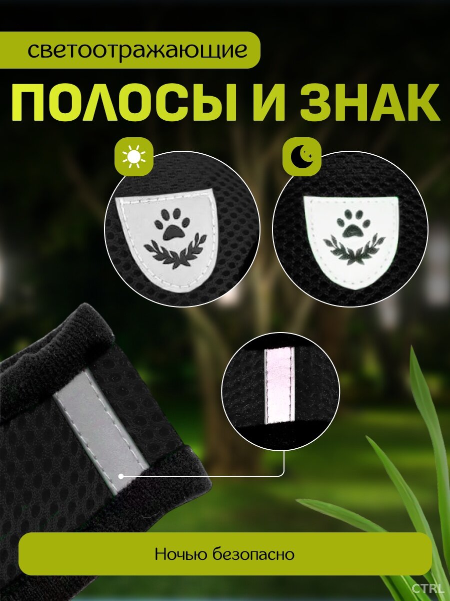 Шлейка с поводком для небольших кошек и собак ZooWell универсальная, размер S черная