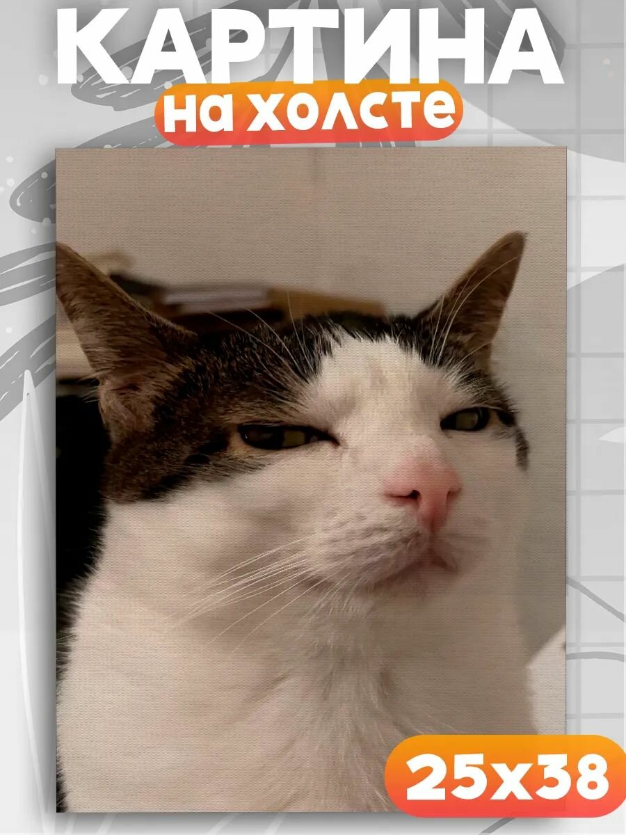 Картина на стену мем котики, на подрамнике, 1шт, 38х25 размер.