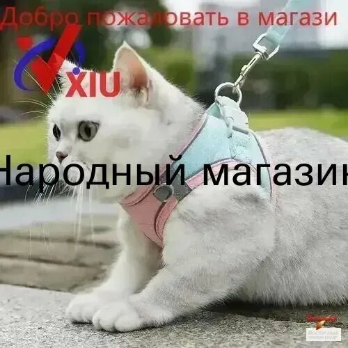Шлейка для кошек с поводком, розовый, M(Подходит для веса 2-4 кг), шлейка для собак мелких пород