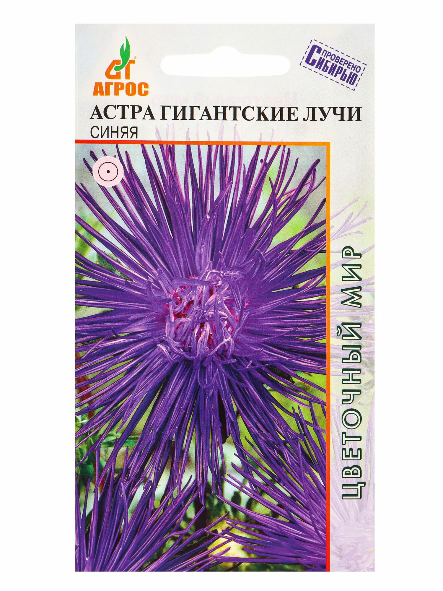 Семена Астра "Гигантские Лучи", синяя, 0.3 г, цветение период: август, 3 шт.