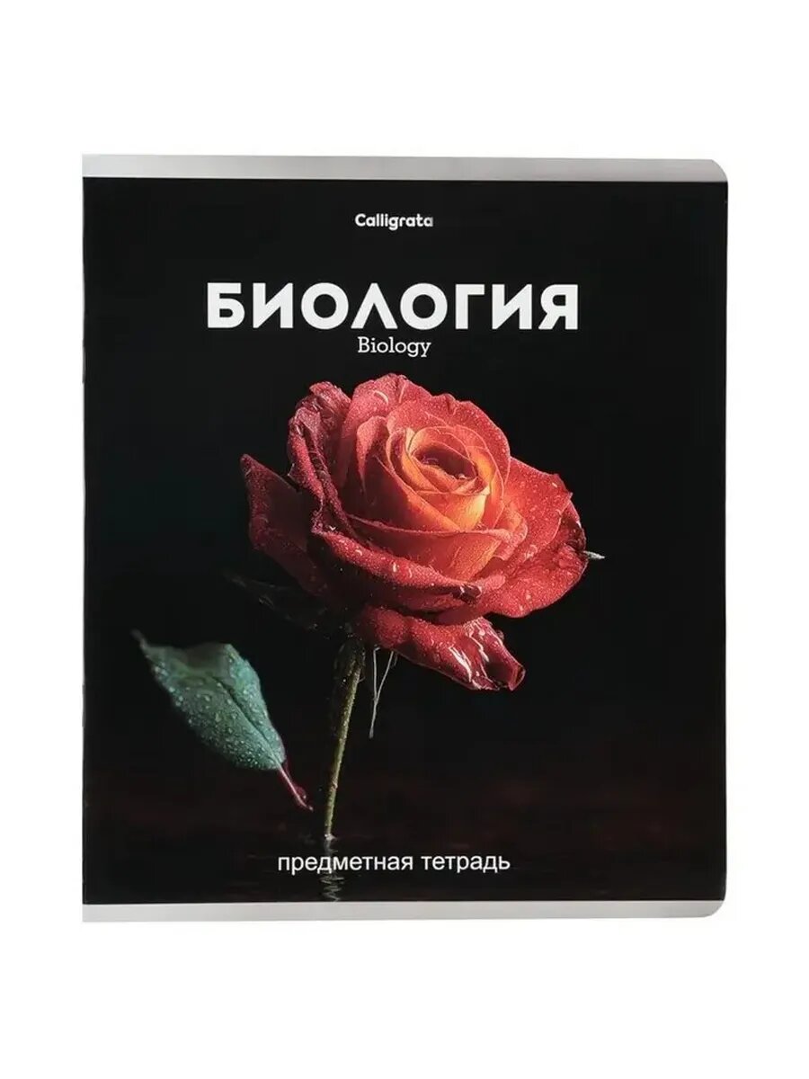 Стильный набор школьных тетрадей для учебы
