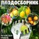 Плодосборник, металл, разноцветный, 25 см x 15 см x 9 см, без черенка