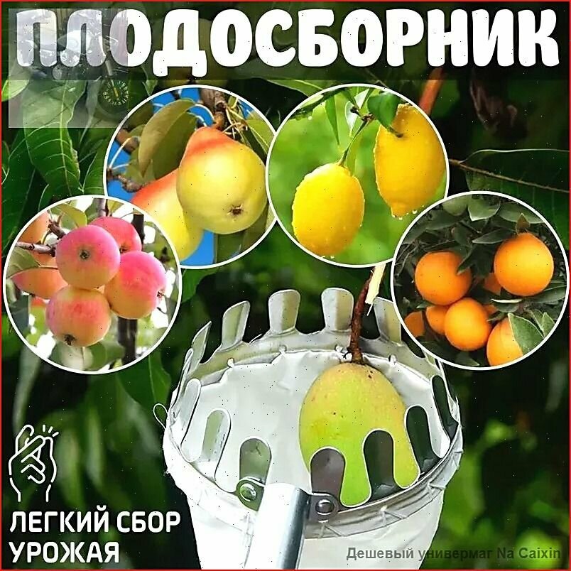 Плодосборник, металл, разноцветный, 25 см x 15 см x 9 см, без черенка