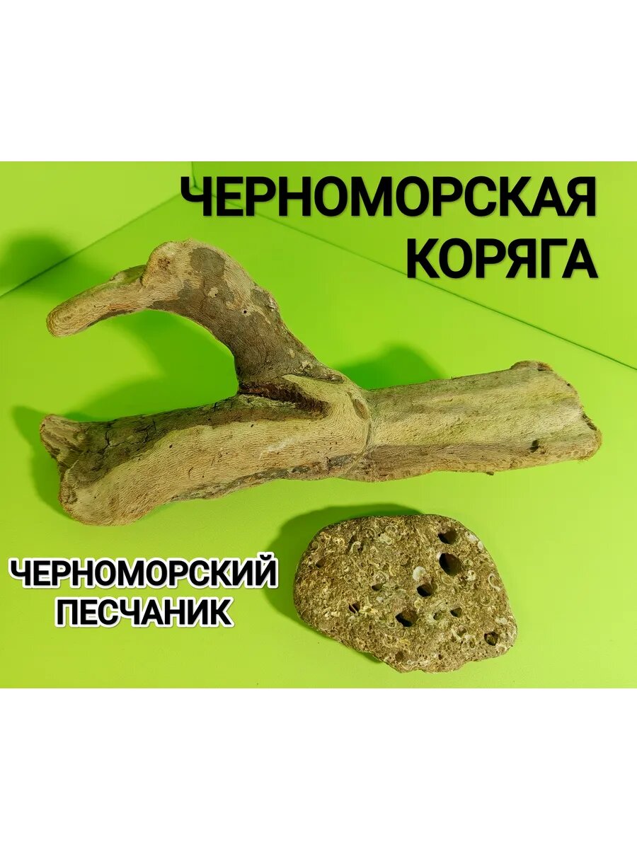 Набор черноморский для аквариума, террариума, вольера