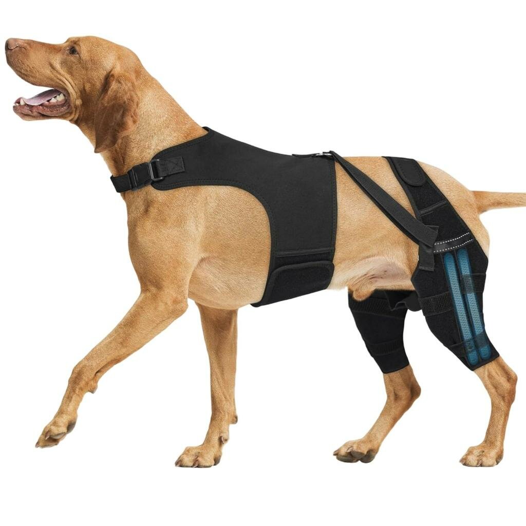 Стабилизатор задних лап для собак, L
