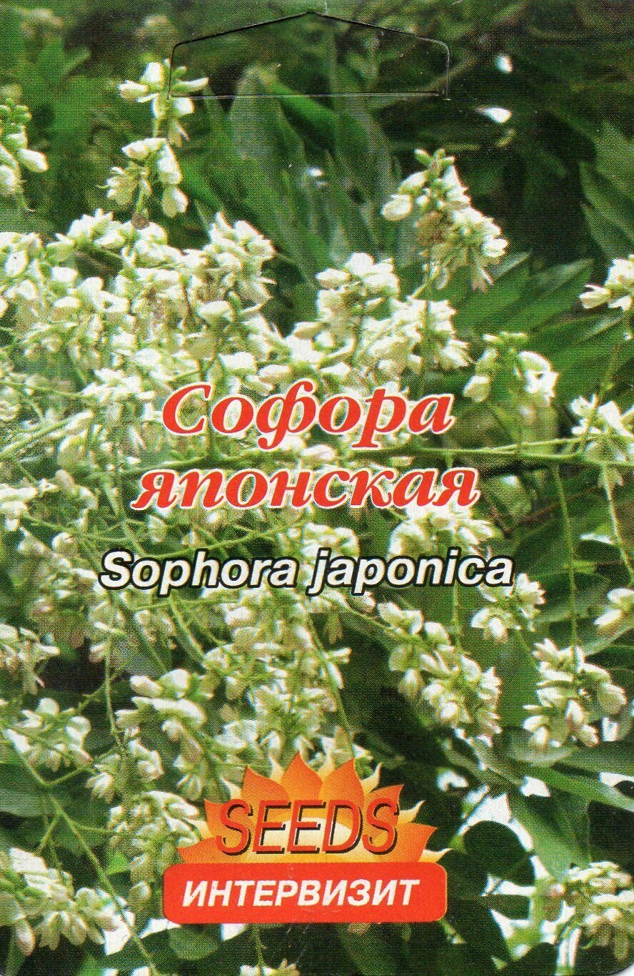 Софора японская(Sophora japonica)семена